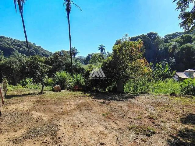 Terreno / Lote para Venda em Itatiaiuçu/MG Morro do Peão