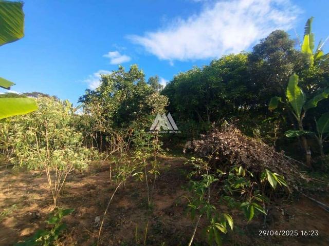 Terreno / Lote para Venda em Itatiaiuçu/MG Pedras