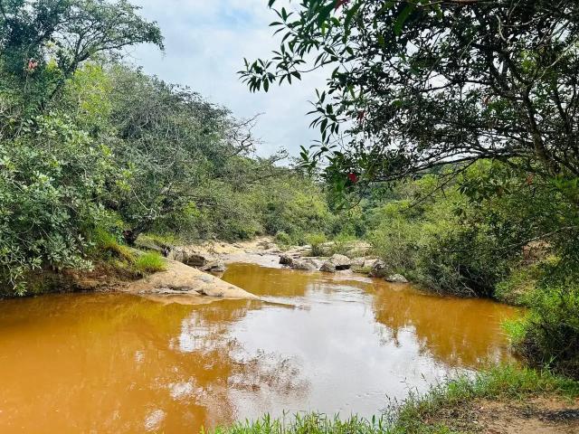Terreno / Lote para Venda em Itatiaiuçu/MG Zona Rural