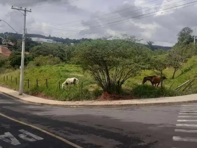 Terreno / Lote para Venda em Itatiba/SP Chácara San Martin I