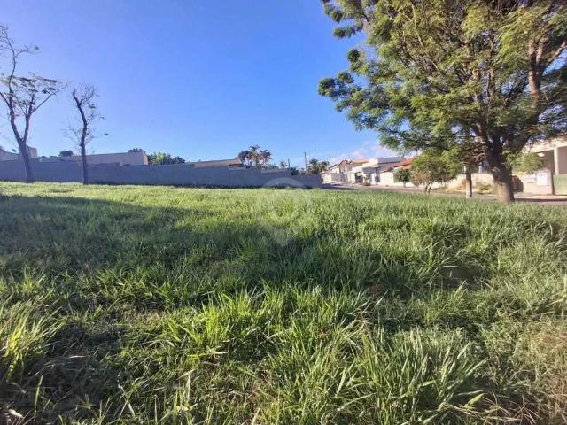 Terreno / Lote para Venda em Itatiba/SP Jardim Leonor