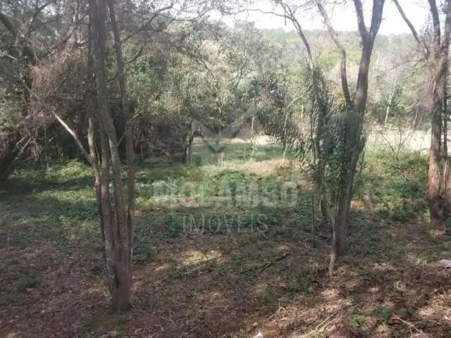 Terreno / Lote para Venda em Itatiba/SP Jardim Leonor