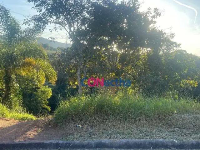 Terreno / Lote para Venda em Itatiba/SP Nova Itatiba