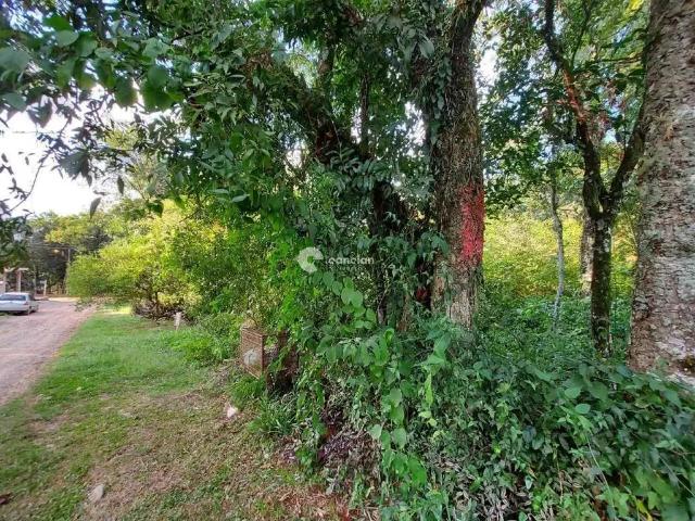 Terreno / Lote para Venda em Itaara/RS Balneário Novo Pinhal