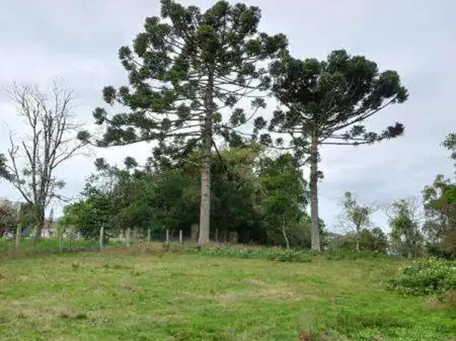 Terreno / Lote para Venda em Itaara/RS Centro