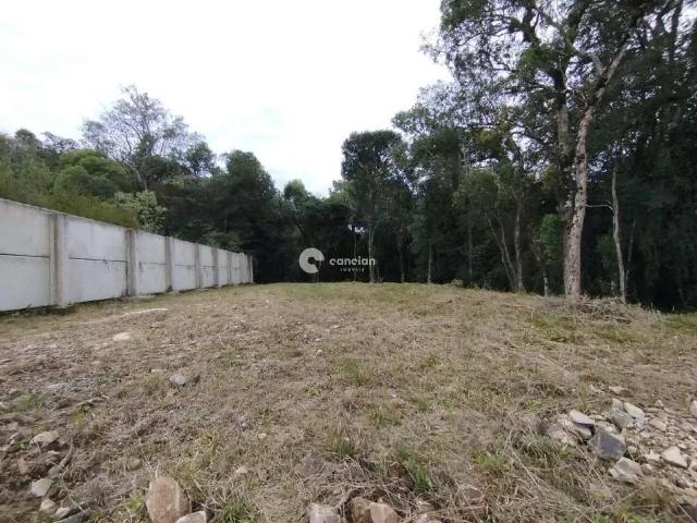 Terreno / Lote para Venda em Itaara/RS Centro