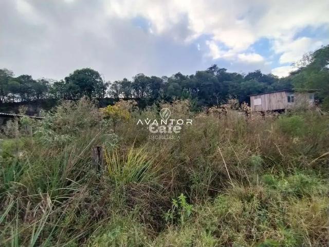 Terreno / Lote para Venda em Itaara/RS Parque Serrano