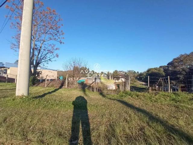 Terreno / Lote para Venda em Itaara/RS Parque Serrano