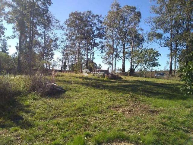 Terreno / Lote para Venda em Itaara/RS Parque Serrano