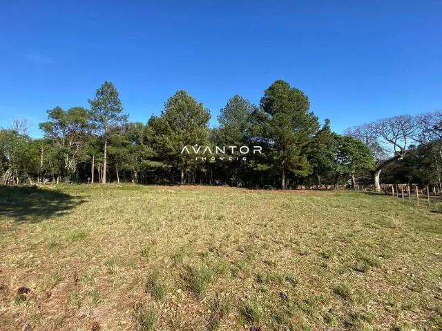 Terreno / Lote para Venda em Itaara/RS Parque Serrano