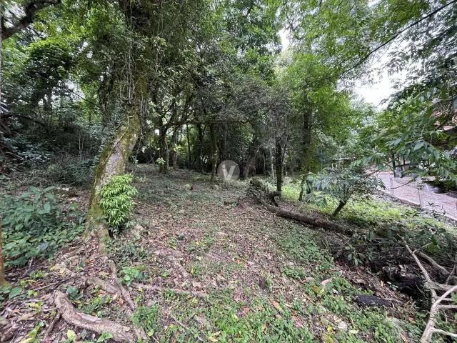 Terreno / Lote para Venda em Itaara/RS Parque Serrano