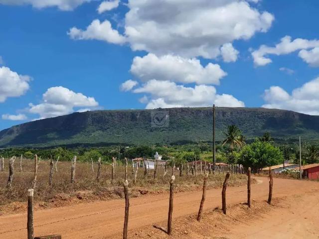 Terreno / Lote para Venda em Itabaiana/SE Área Rural de Itabaiana