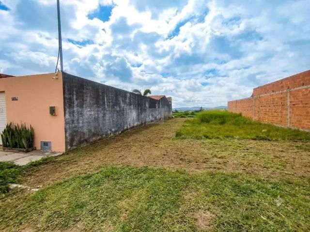 Terreno / Lote para Venda em Itabaiana/SE Miguel Teles de Mendonça