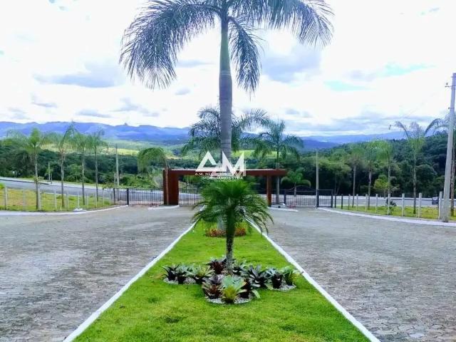 Terreno / Lote para Venda em Itabirito/MG Centro