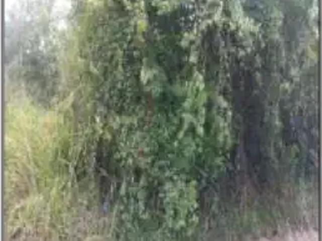 Terreno / Lote para Venda em Itaboraí/RJ Agro Brasil Sambaetiba