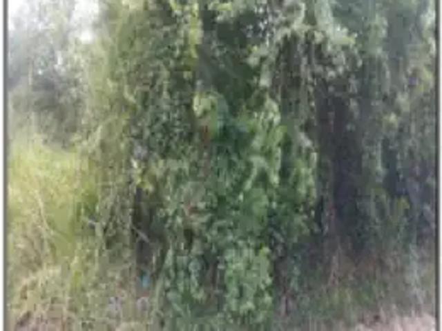 Terreno / Lote para Venda em Itaboraí/RJ Agro Brasil Sambaetiba