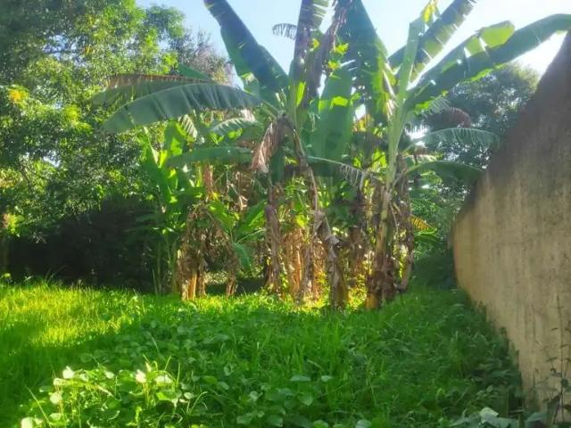 Terreno / Lote para Venda em Itaboraí/RJ Parque Nova Friburgo Sambaetiba