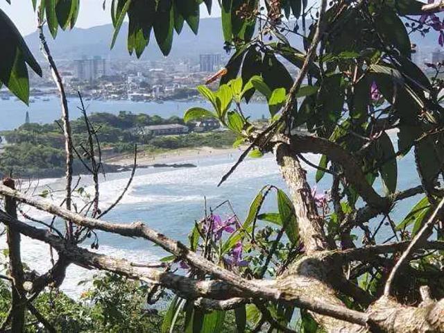 Terreno / Lote para Venda em Itajaí/SC Cabeçudas