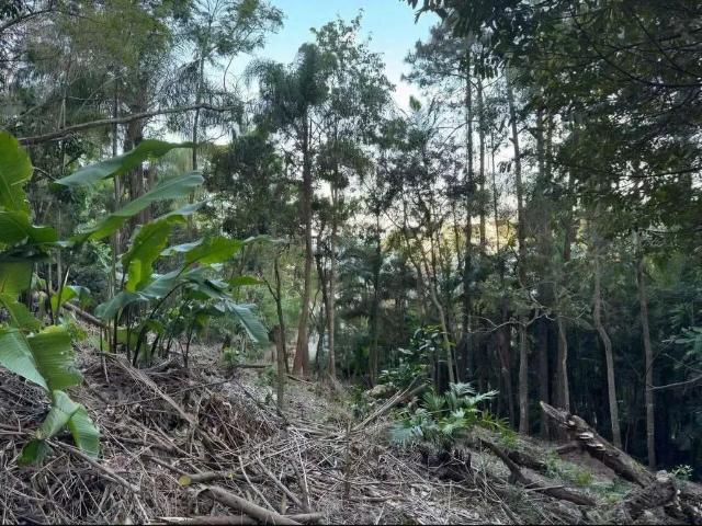 Terreno / Lote para Venda em Itajaí/SC Cabeçudas