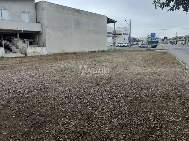 Terreno / Lote para Venda em Itajaí/SC Cidade Nova