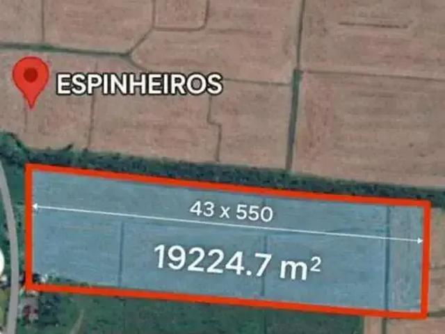 Terreno / Lote para Venda em Itajaí/SC Espinheiros