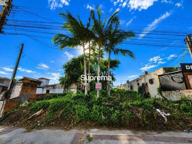 Terreno / Lote para Venda em Itajaí/SC Espinheiros