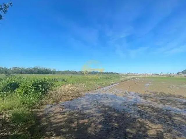 Terreno / Lote para Venda em Itajaí/SC Espinheiros