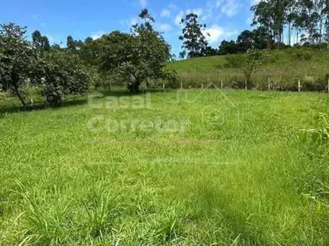 Terreno / Lote para Venda em Itajaí/SC Limoeiro