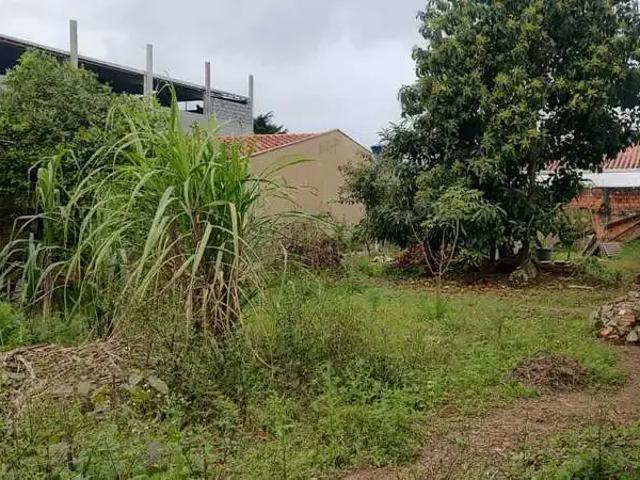 Terreno / Lote para Venda em Itajaí/SC São João
