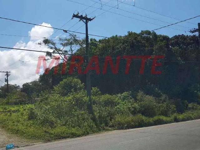 Terreno / Lote para Venda em Itanhaém/SP Nova Itanhaém