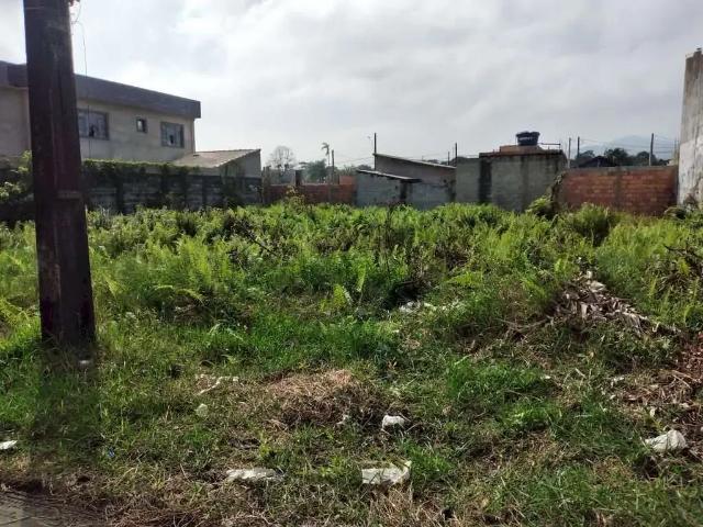 Terreno / Lote para Venda em Itanhaém/SP Nova Itanhaém
