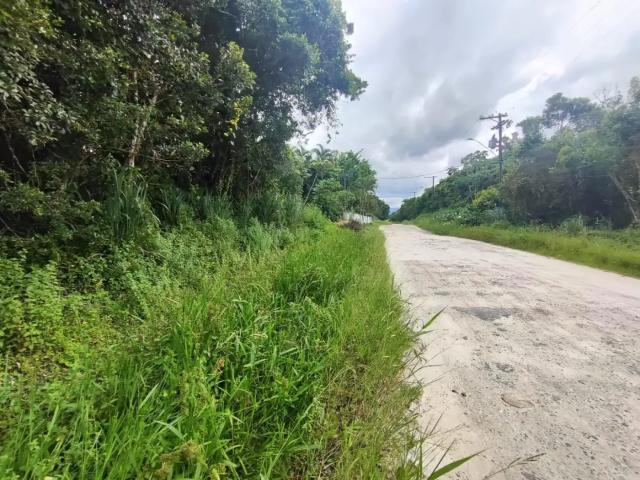 Terreno / Lote para Venda em Itanhaém/SP Balneário Tupy