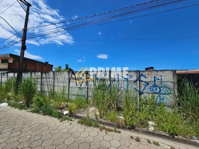 Terreno / Lote para Venda em Itanhaém/SP Balneário Campos Eliseos