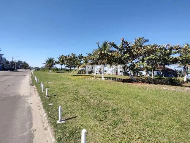 Terreno / Lote para Venda em Itanhaém/SP Balneário Califórnia