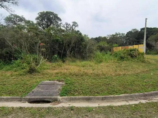 Terreno / Lote para Venda em Itanhaém/SP Balneario Fênix
