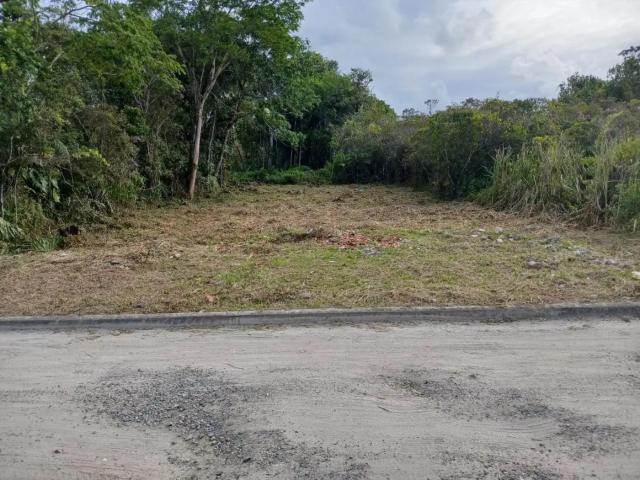 Terreno / Lote para Venda em Itanhaém/SP Balneario Fênix