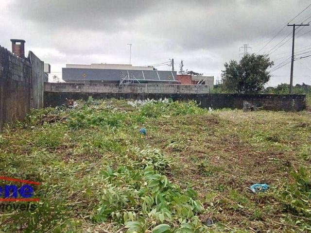 Terreno / Lote para Venda em Itanhaém/SP Balneário Raul Cury
