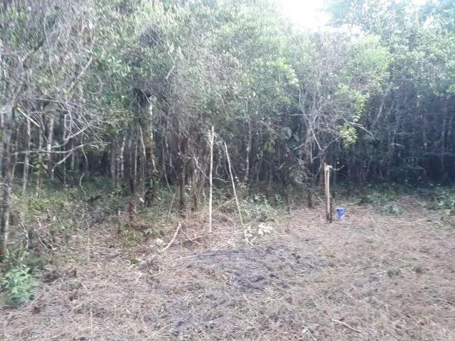 Terreno / Lote para Venda em Itanhaém/SP Bopiranga