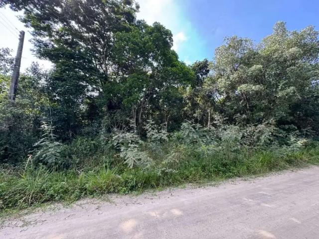 Terreno / Lote para Venda em Itanhaém/SP Bopiranga