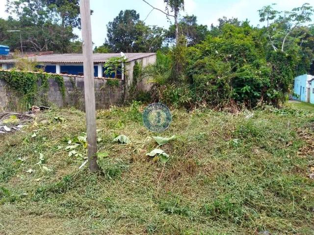 Terreno / Lote para Venda em Itanhaém/SP Centro