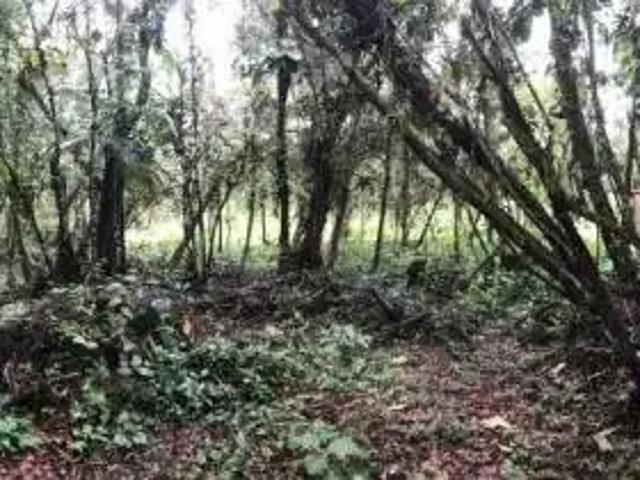 Terreno / Lote para Venda em Itanhaém/SP Chácara Lucél