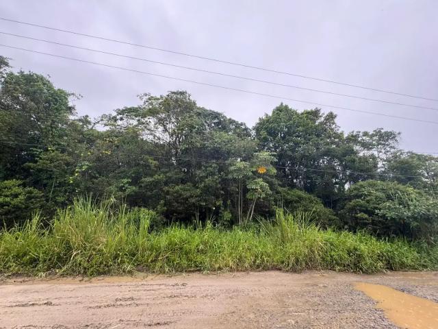 Terreno / Lote para Venda em Itanhaém/SP Chácara Lucél