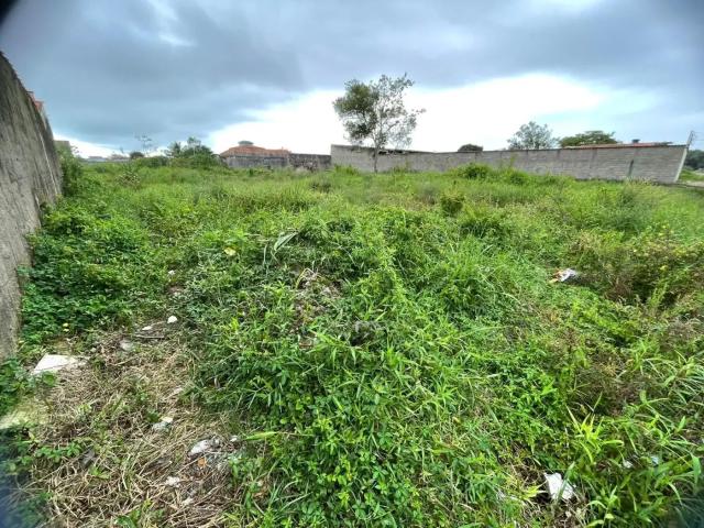 Terreno / Lote para Venda em Itanhaém/SP Chácara Lucél