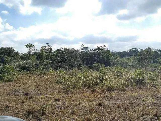 Terreno / Lote para Venda em Itanhaém/SP Chácara Lucél