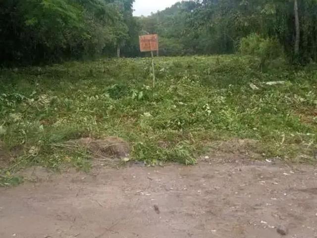 Terreno / Lote para Venda em Itanhaém/SP Chácaras Glória