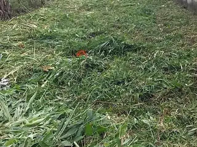 Terreno / Lote para Venda em Itanhaém/SP Cibratel II
