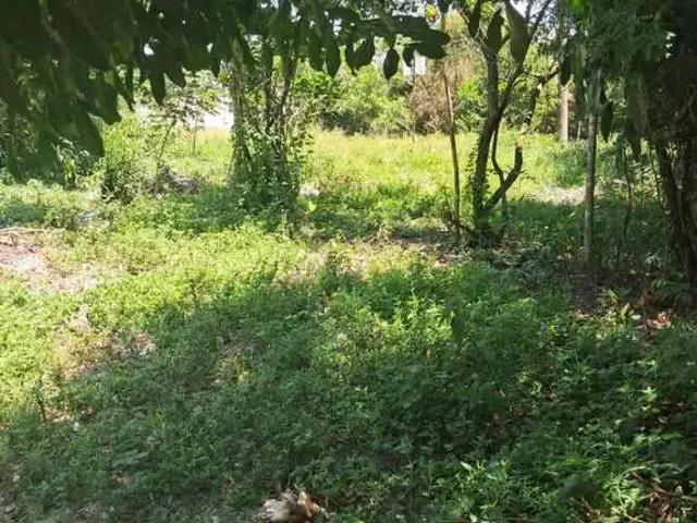 Terreno / Lote para Venda em Itanhaém/SP Estância de Santa Cruz