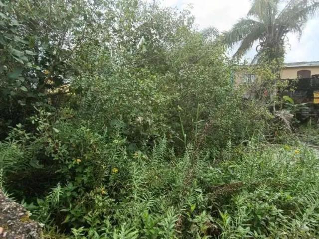 Terreno / Lote para Venda em Itanhaém/SP Gaivota Praia