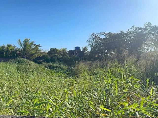 Terreno / Lote para Venda em Itanhaém/SP Gaivota Praia