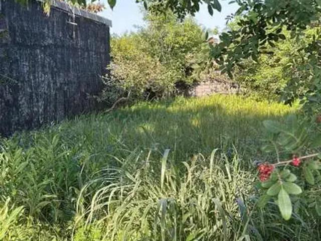 Terreno / Lote para Venda em Itanhaém/SP Gaivota Praia